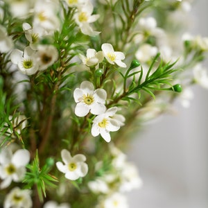 Artificial Wax Flower, Realistic Faux Flower, Silk Wax Stem, DIY Floral ...