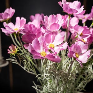 24'' Artificial Cosmos Flowers, Realistic Faux Flower, Silk Cosmos Stem ...