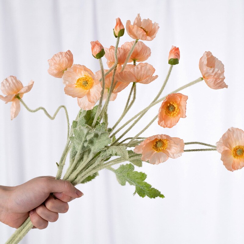 Silk Poppies - Etsy