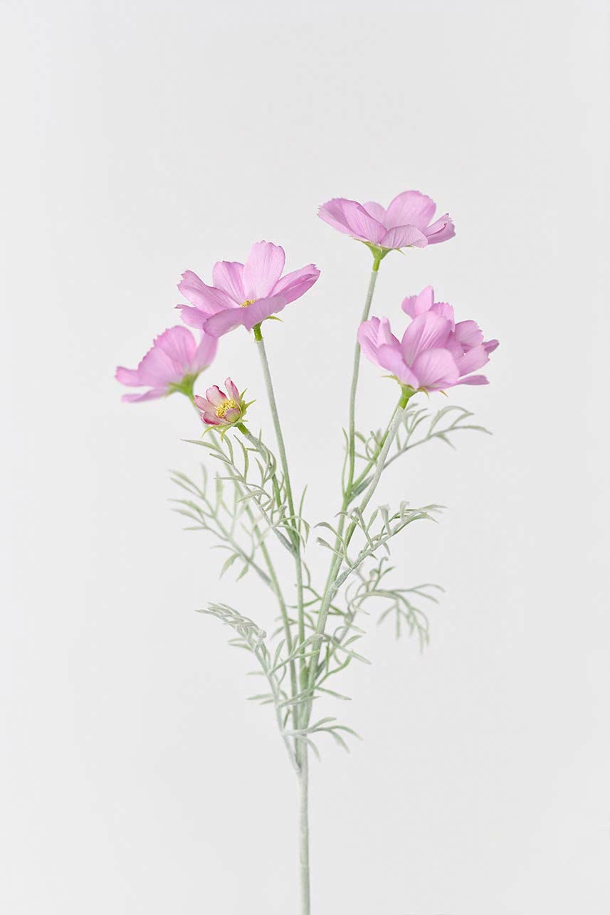 24'' Artificial Cosmos Flowers, Realistic Faux Flower, Silk Cosmos Stem ...