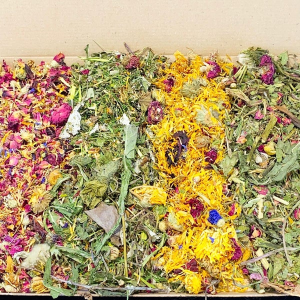 Ultimate Forage Mix - Etsy