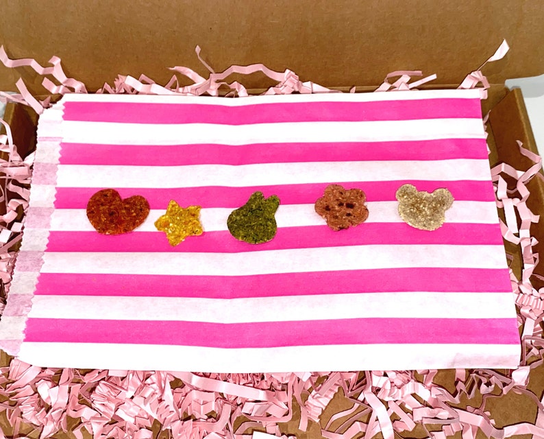 Sample Treats Box for All Small Animals Rabbits Guinea Pigs: - Etsy UK