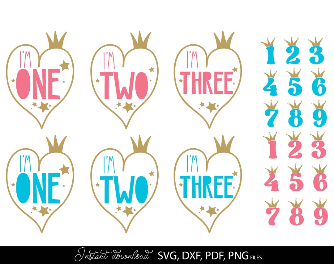 Birthday Number SVG 1-9 Numbers SVG Kids Birthday SVG Birthday Princess ...