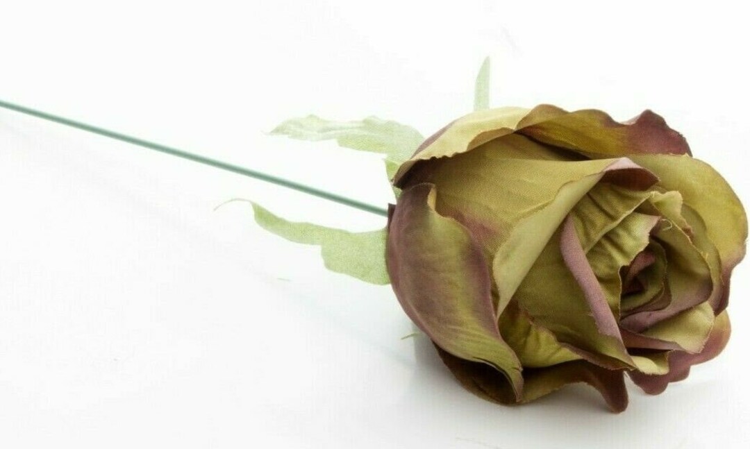 12 X Green and Brown Silk Roses Artificial Flowers. Wedding Home Decor ...