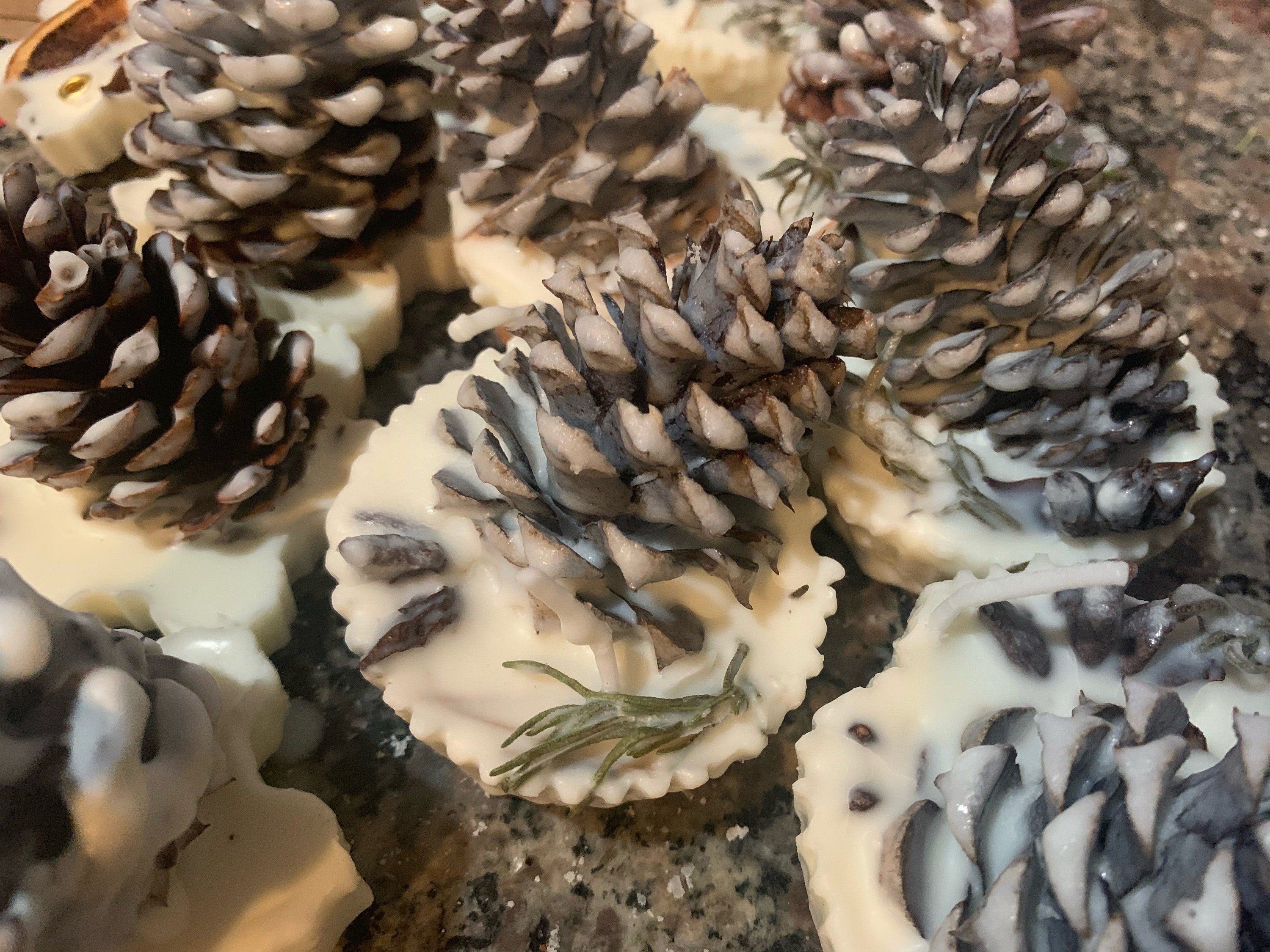 Pine Cone Fire Starter - Etsy