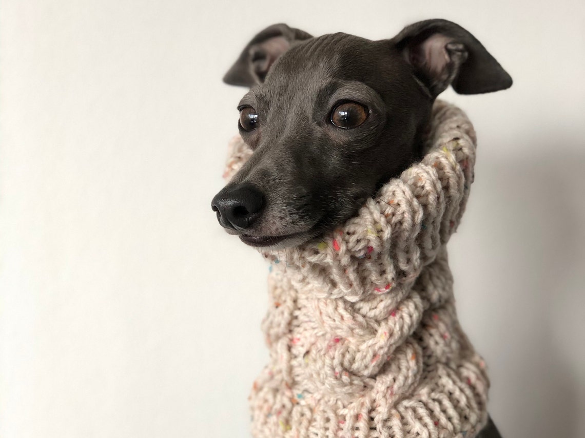 Italian greyhound snood /turtleneck/ neck warmer / 100% | Etsy