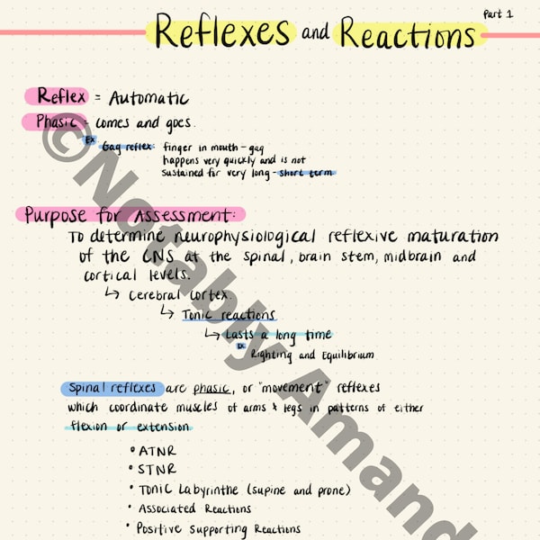 Spinal Cord Injuries SCI Reference Cheat Sheet rehab/therapy Medical ...