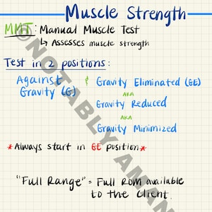Occupational Therapy Muscle Strength Assessment PRINTABLE Notes - Etsy