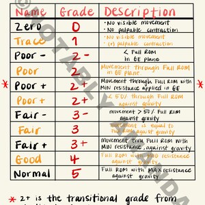 Occupational Therapy Muscle Strength Assessment PRINTABLE Notes - Etsy