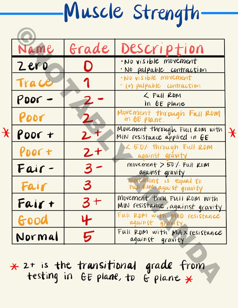 Occupational Therapy Muscle Strength Assessment PRINTABLE Notes - Etsy
