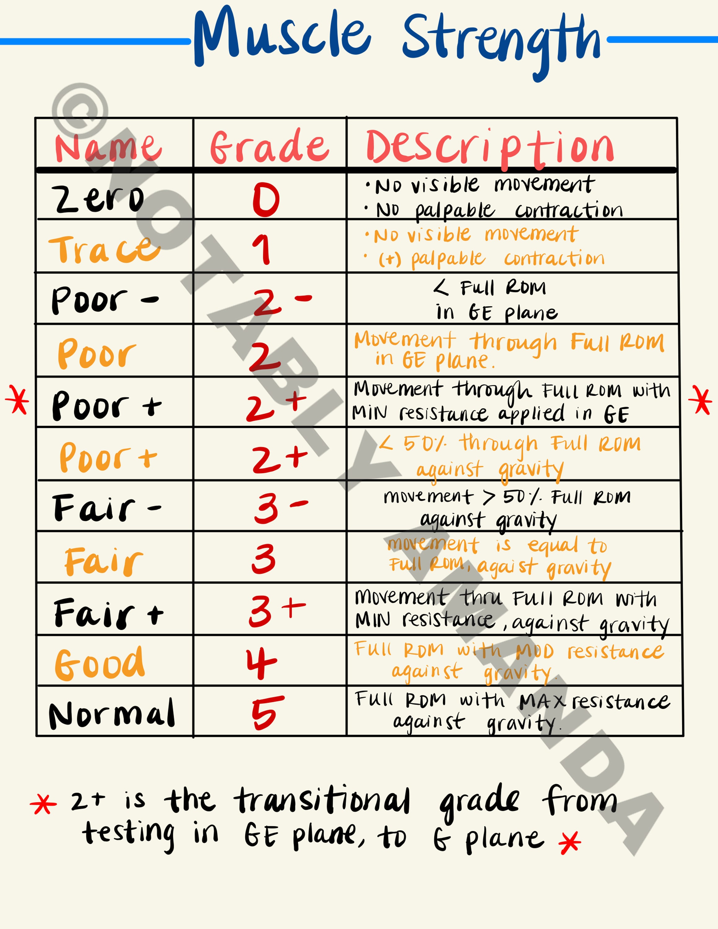 Occupational Therapy Muscle Strength Assessment PRINTABLE Notes - Etsy