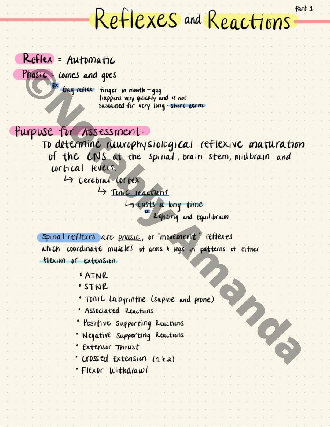 Primitive Reflexes and Reactions PRINTABLE Notes - Etsy