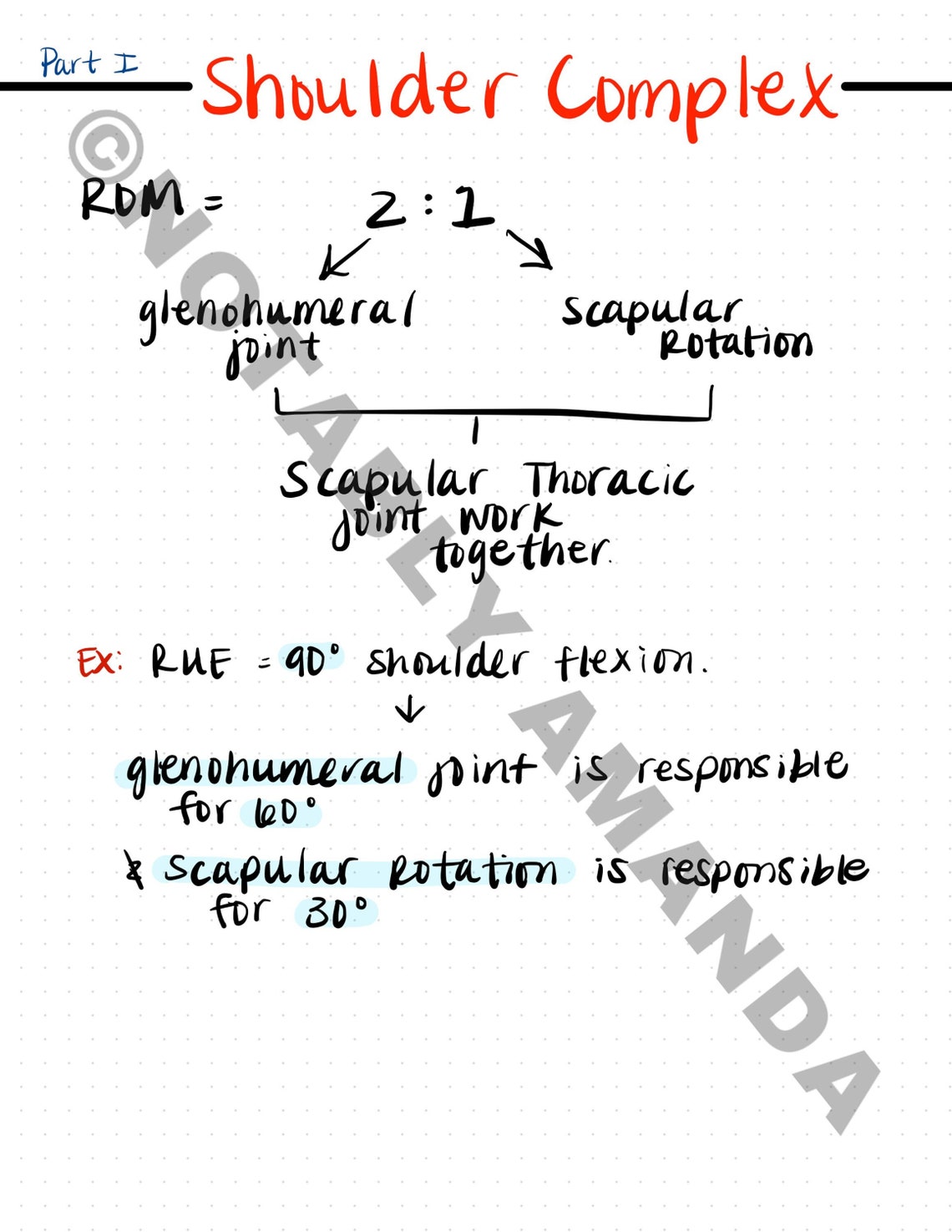 Occupational Therapy Shoulder Complex PRINTABLE Notes - Etsy