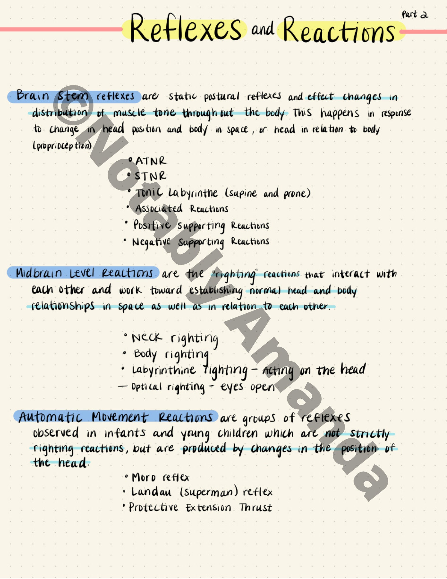Primitive Reflexes and Reactions PRINTABLE Notes - Etsy