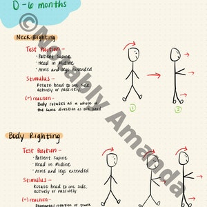 Primitive Reflexes and Reactions PRINTABLE Notes - Etsy