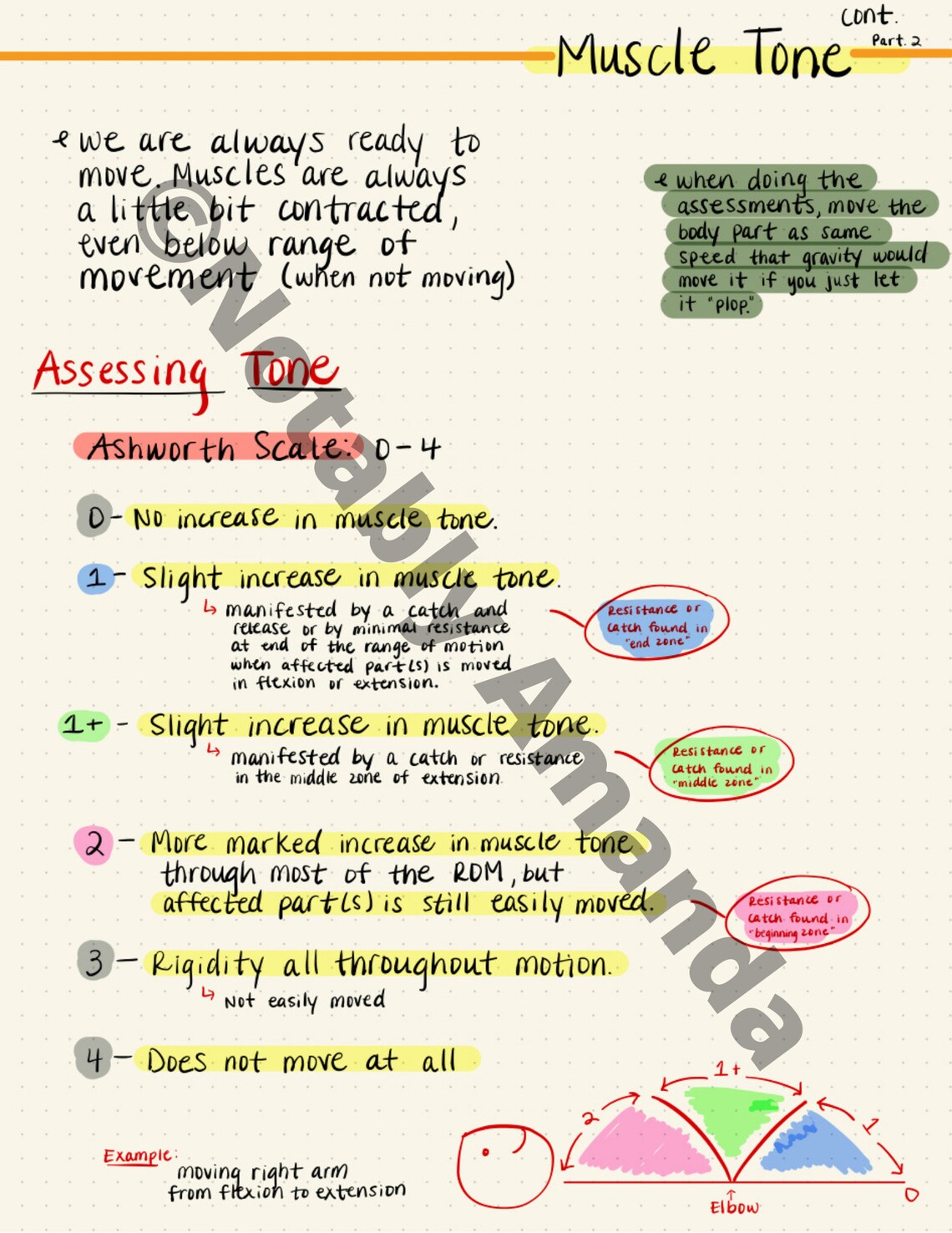 Occupational Therapy Muscle Tone Assessments PRINTABLE Notes - Etsy