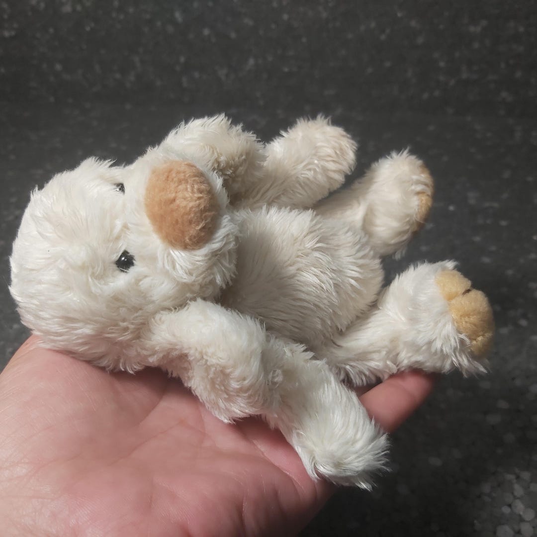 Small Puppy Dog Trudi Bussi. Plush Puppy. Trudi Plushies Italy. Trudi ...