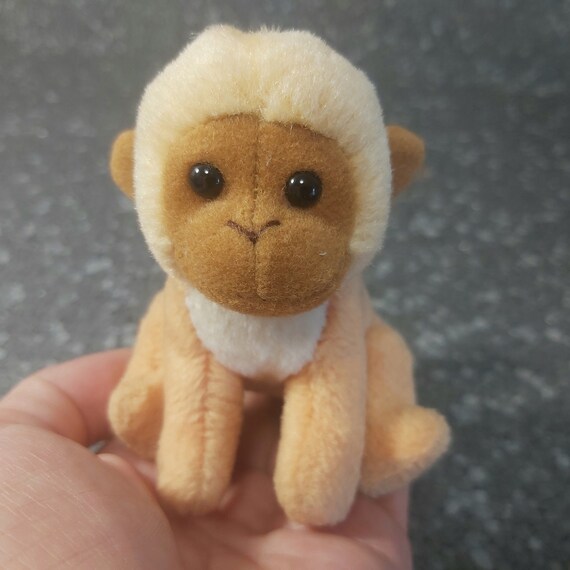 Small monkey teddy store