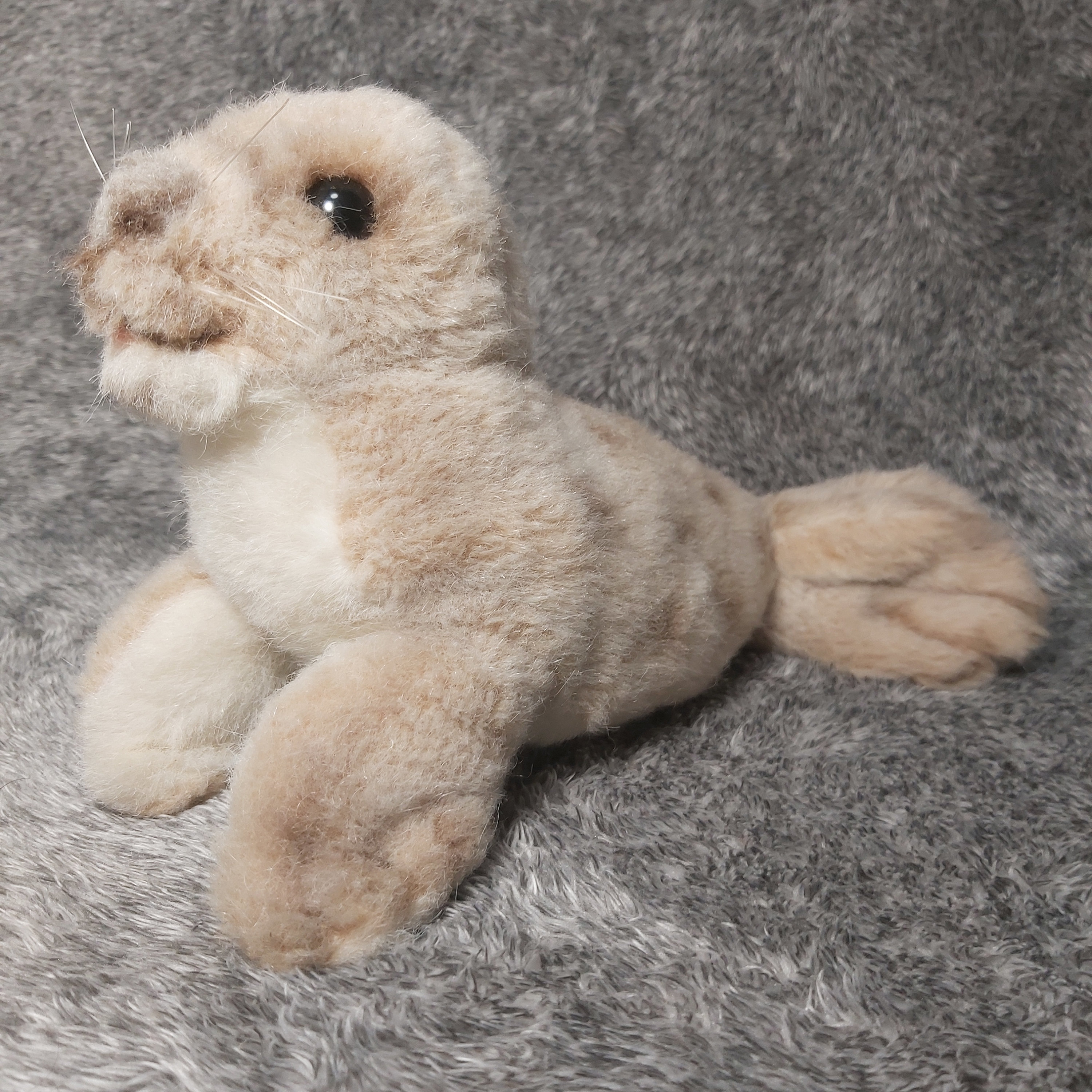 Vintage Steiff Seal Robby Stuffed Animal. Seal Steiff 1175/20 With ...
