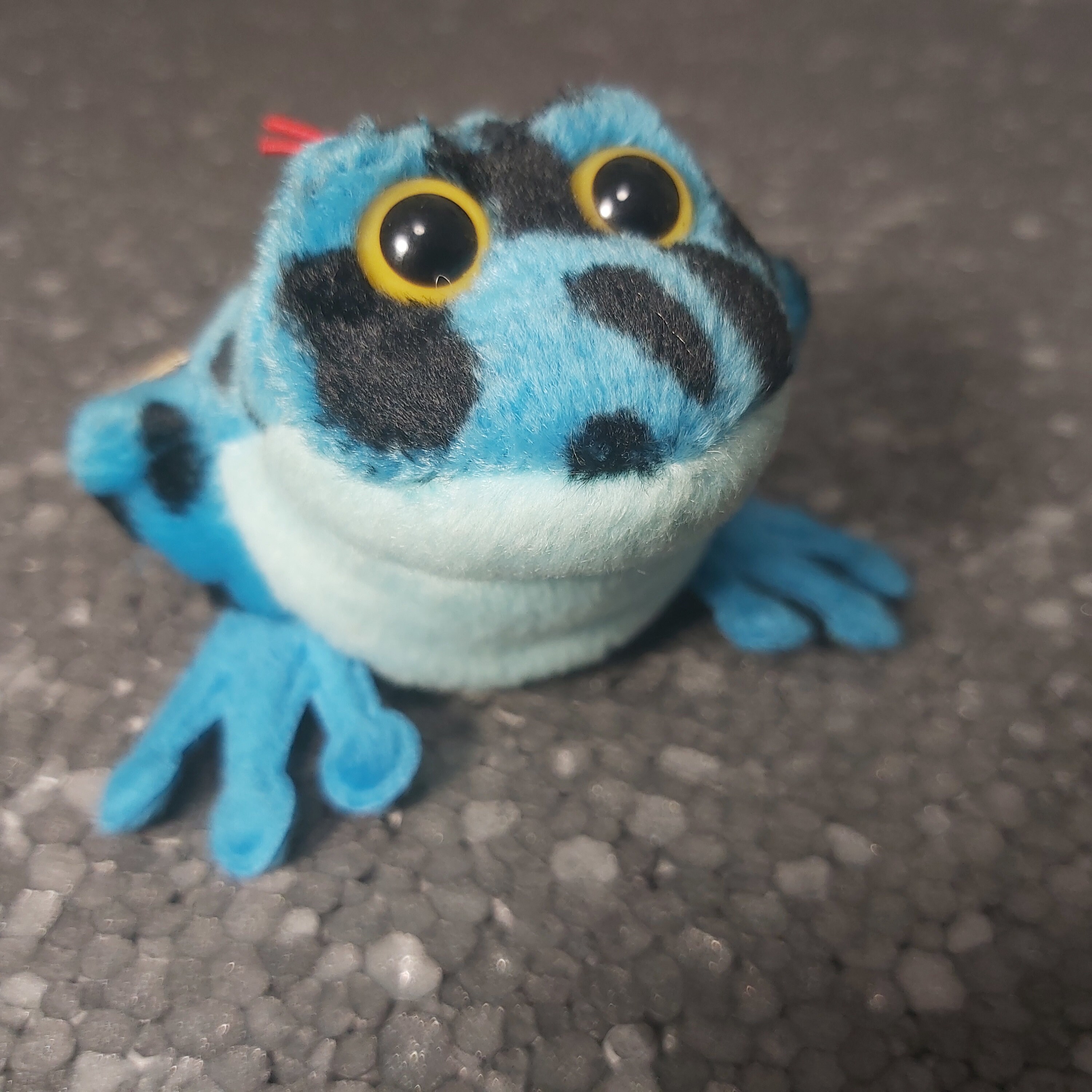 Blue Frog Plush. Trudi Vintage. Blue Poison Dart Frog Trudi Sweet Collection. Blue Frog Stuffed Animal Vintage. Dendrobates Tinctorius Plush Etsy Canada