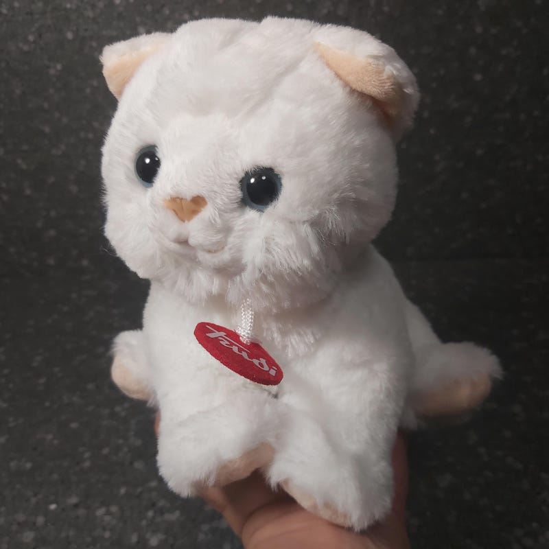 Small White Cat Plush - Etsy