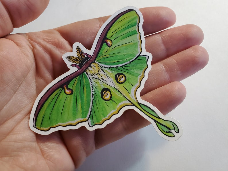 Moth Vinyl Sticker Set - Etsy