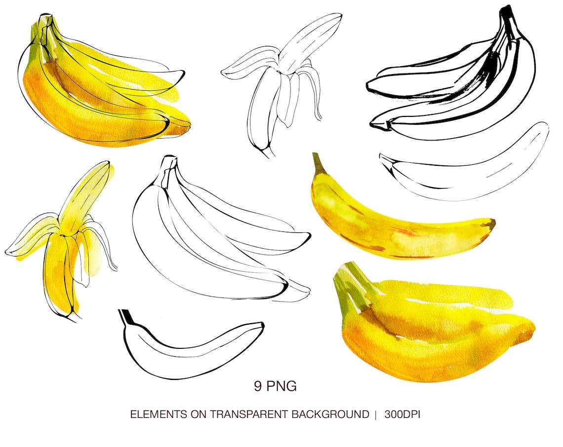 Banana Set Digital Clipart Watercolor and Ink. Bananas - Etsy