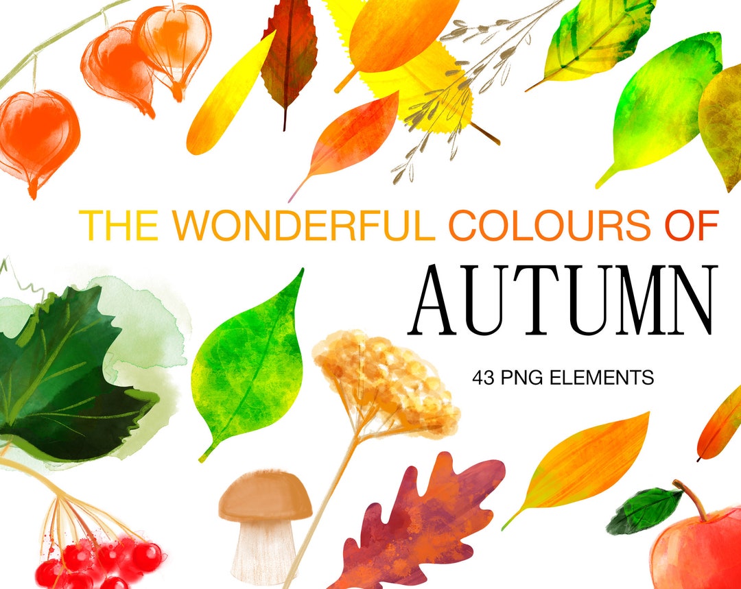 Digital Watercolor Autumn Clipart, Autumn Leaves Clipart, Set Fall ...