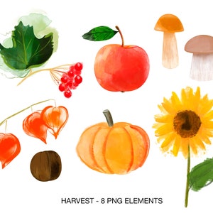 Digital Watercolor Autumn Clipart, Autumn Leaves Clipart, Set Fall ...