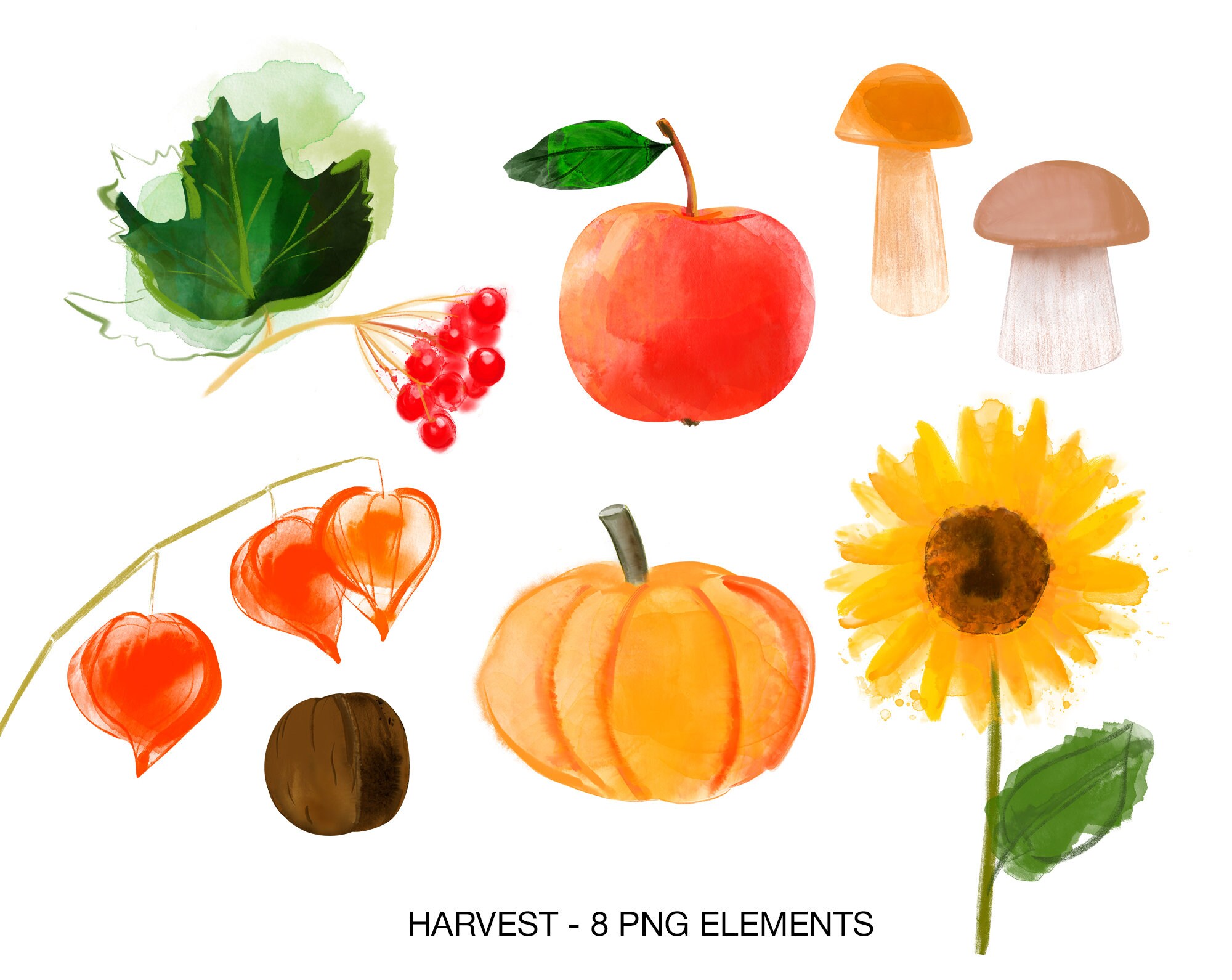 Digital Watercolor Autumn Clipart, Autumn Leaves Clipart, Set Fall ...