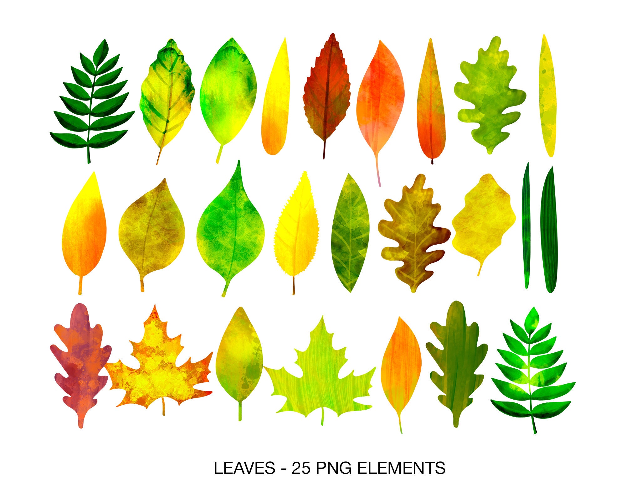 Digital Watercolor Autumn Clipart, Autumn Leaves Clipart, Set Fall ...