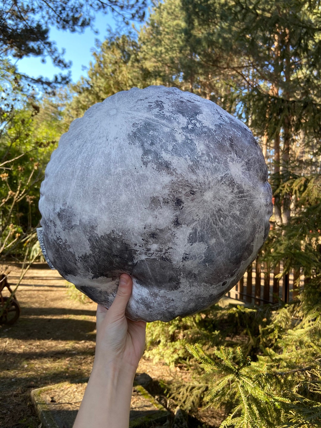 Silver Moon Decorative Pillow, Home Decor - Etsy