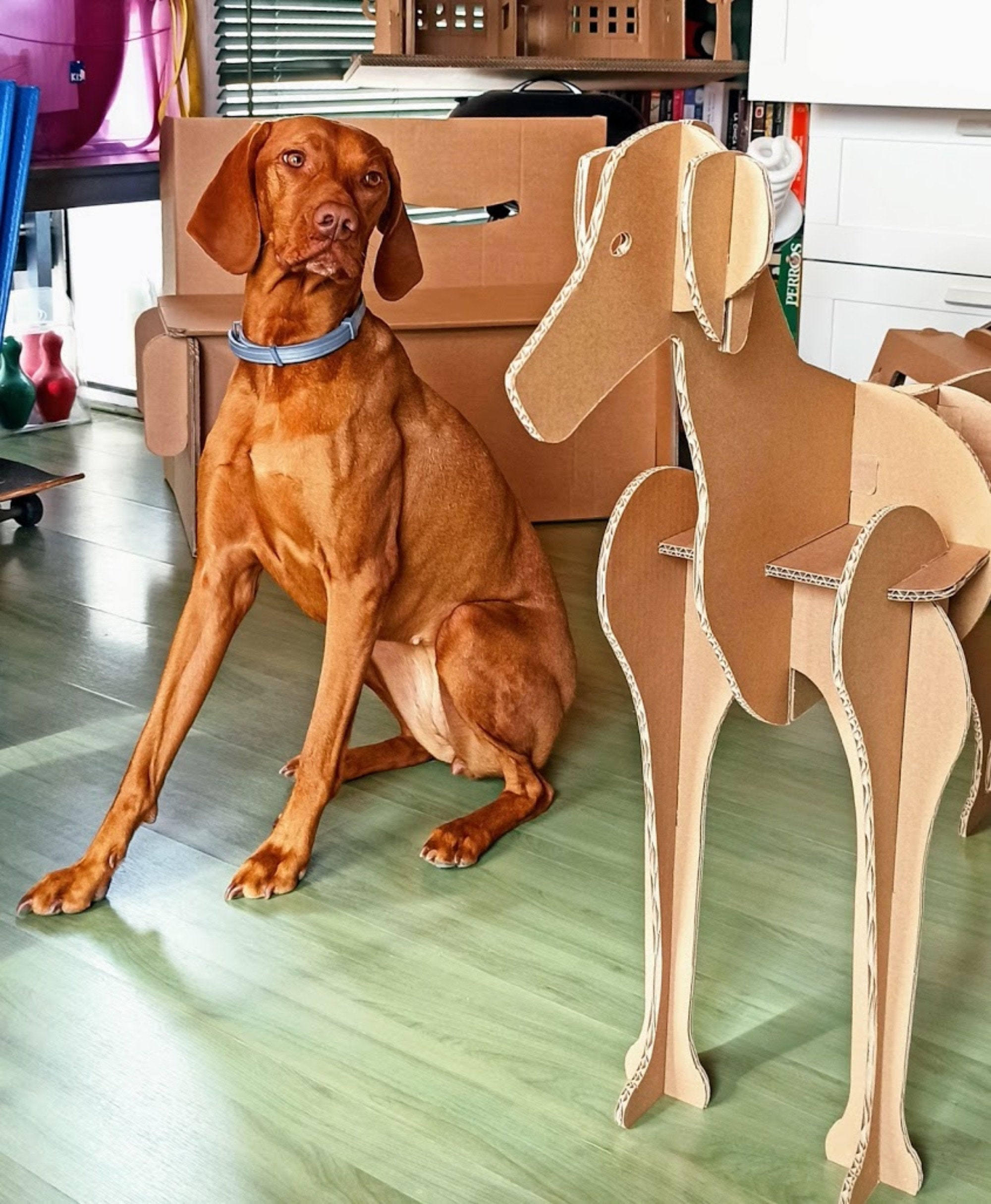 Blueprints for Cardboard Dog Shelf Organiser Bracco Cardboard Furniture ...