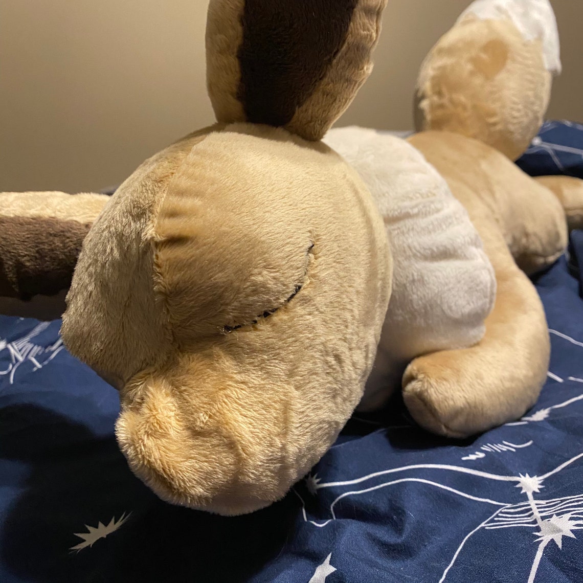 Eevee Sleepy Plush normal or Shiny Version - Etsy