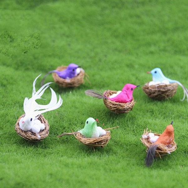 Miniature Birds Nest - Etsy UK