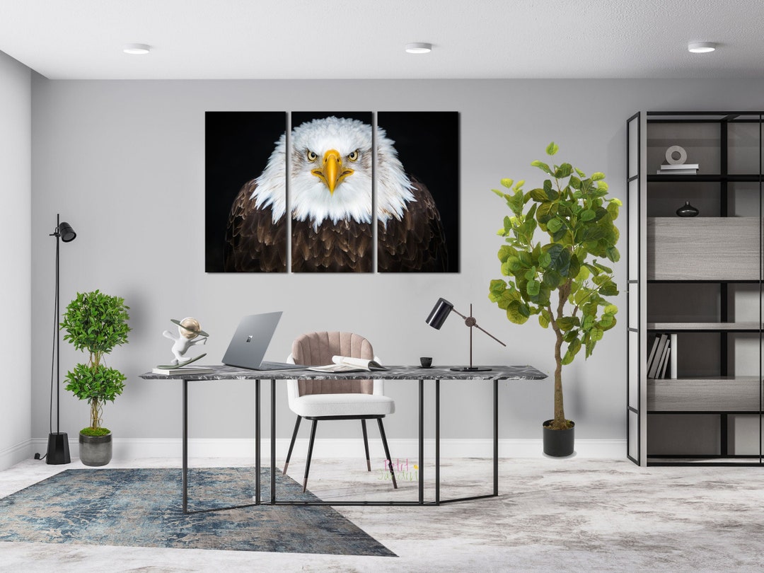 Cool Bald Eagle Symmetric Art Bald Eagle Portrait on Canvas Prints ...