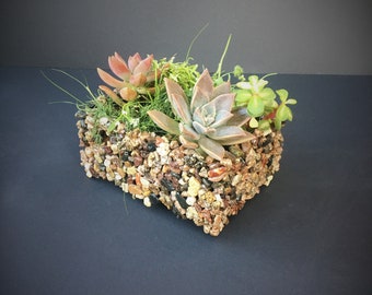 Shallow Planter With Drainage | Etsy