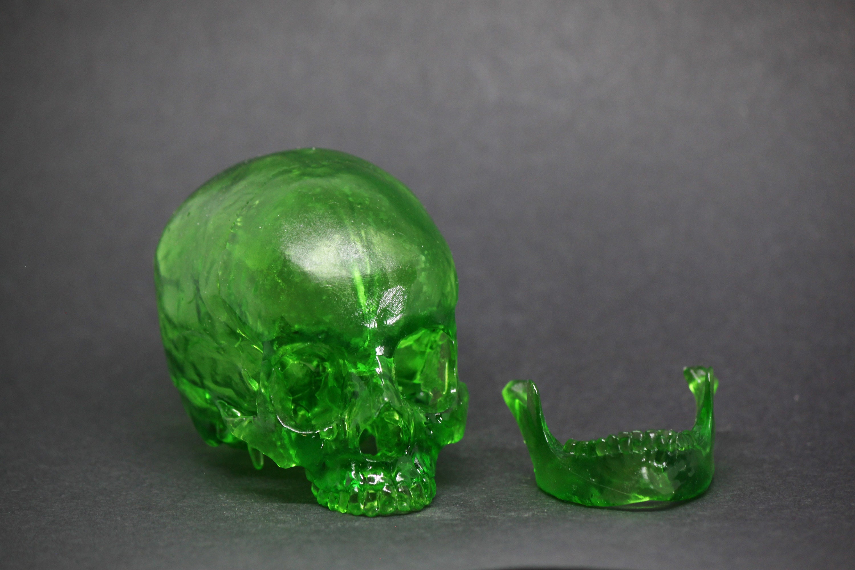 Miniature Human Skull - Etsy