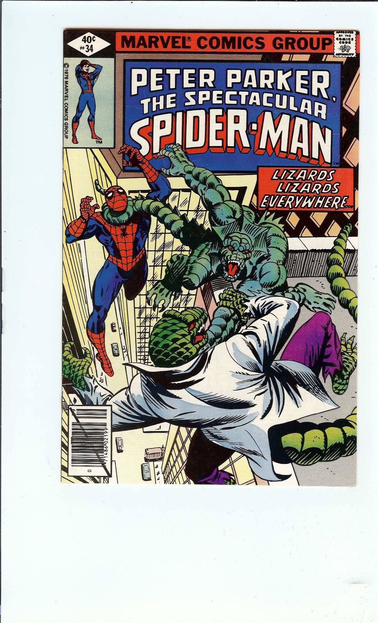 Peter Parker Spectacular Spider Man