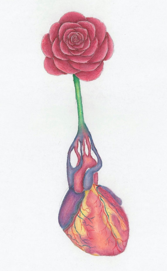 Hearts And Roses Drawings In Pencil