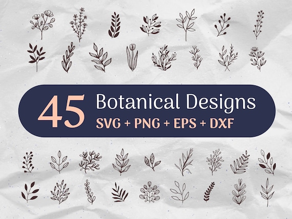 45 Botanical SVG Bundle Floral Svg Flower Svg Leaves Svg - Etsy