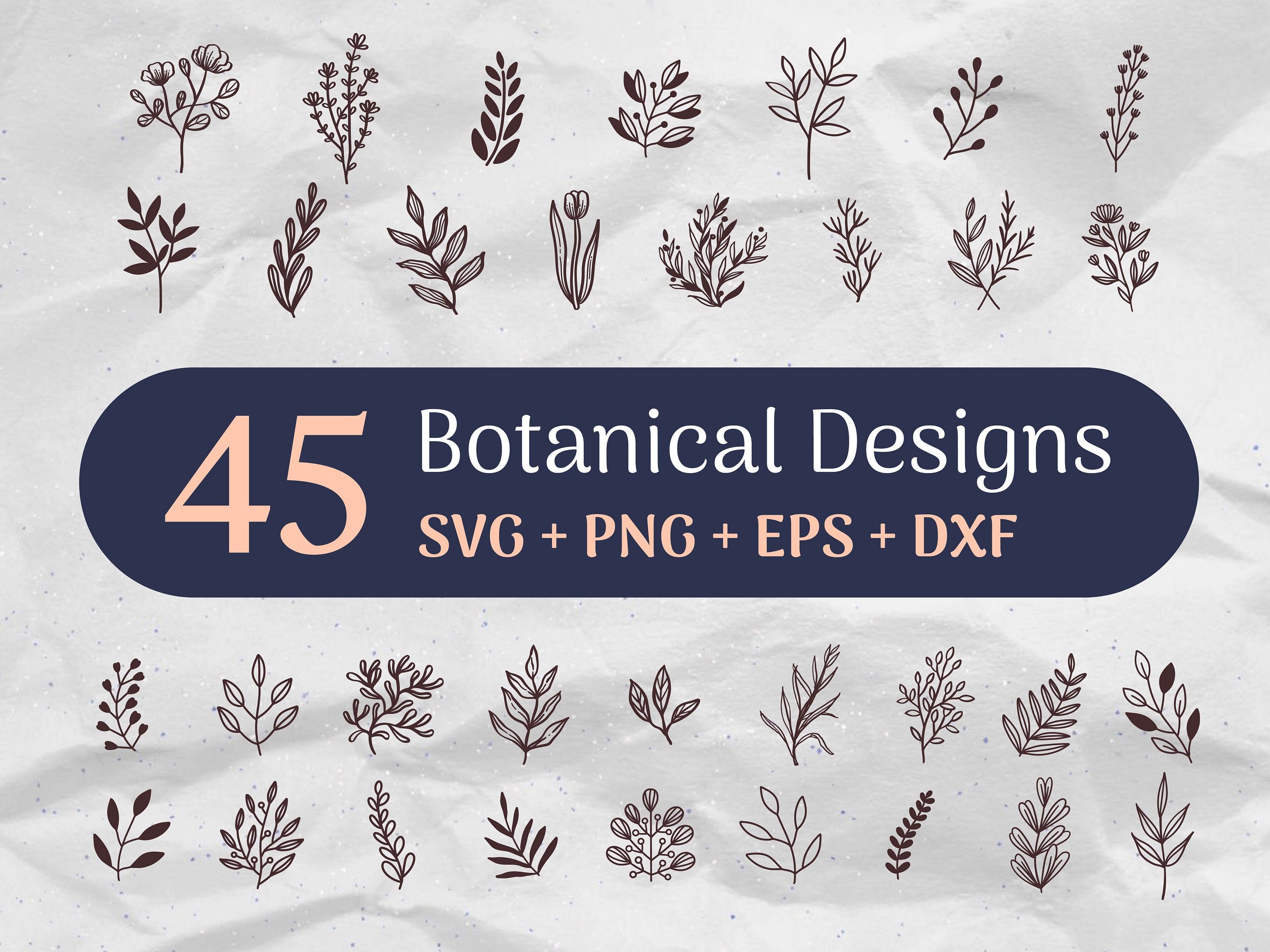 45 Botanical SVG Bundle Floral Svg Flower Svg Leaves Svg - Etsy