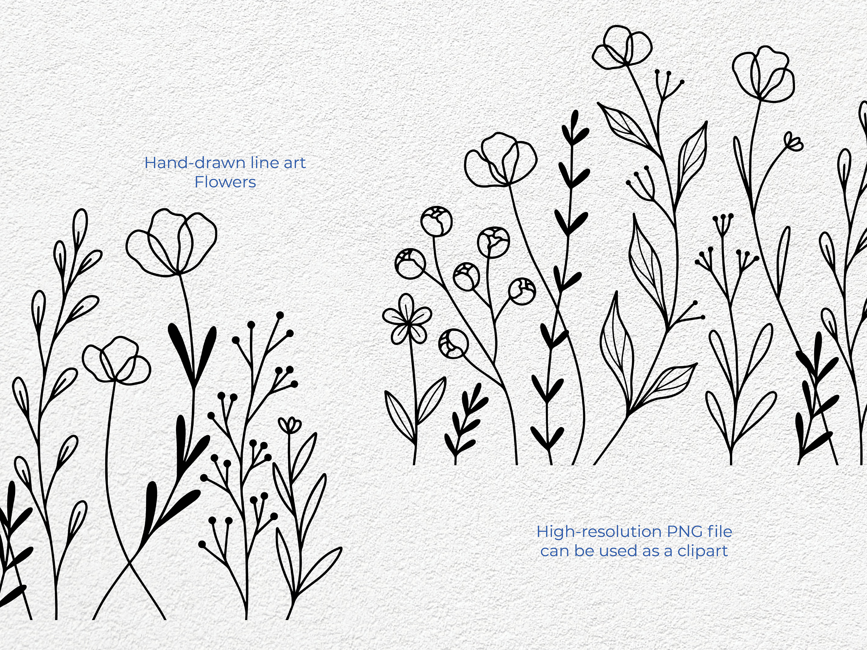 Flower Meadow Svg, Line Art Flower Svg, Wildflower Svg, Meadow Svg ...