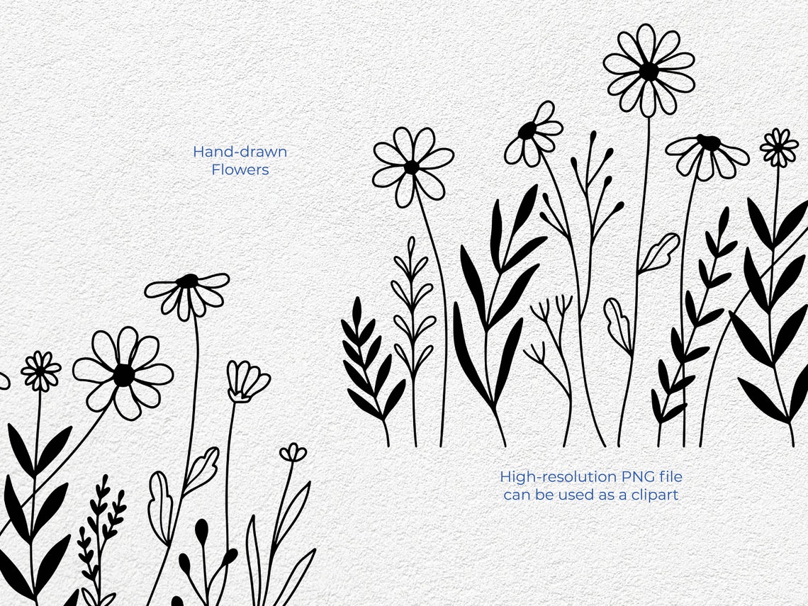 Daisy Svg Hand Drawn Flower Svg Wildflower Svg Meadow Svg - Etsy