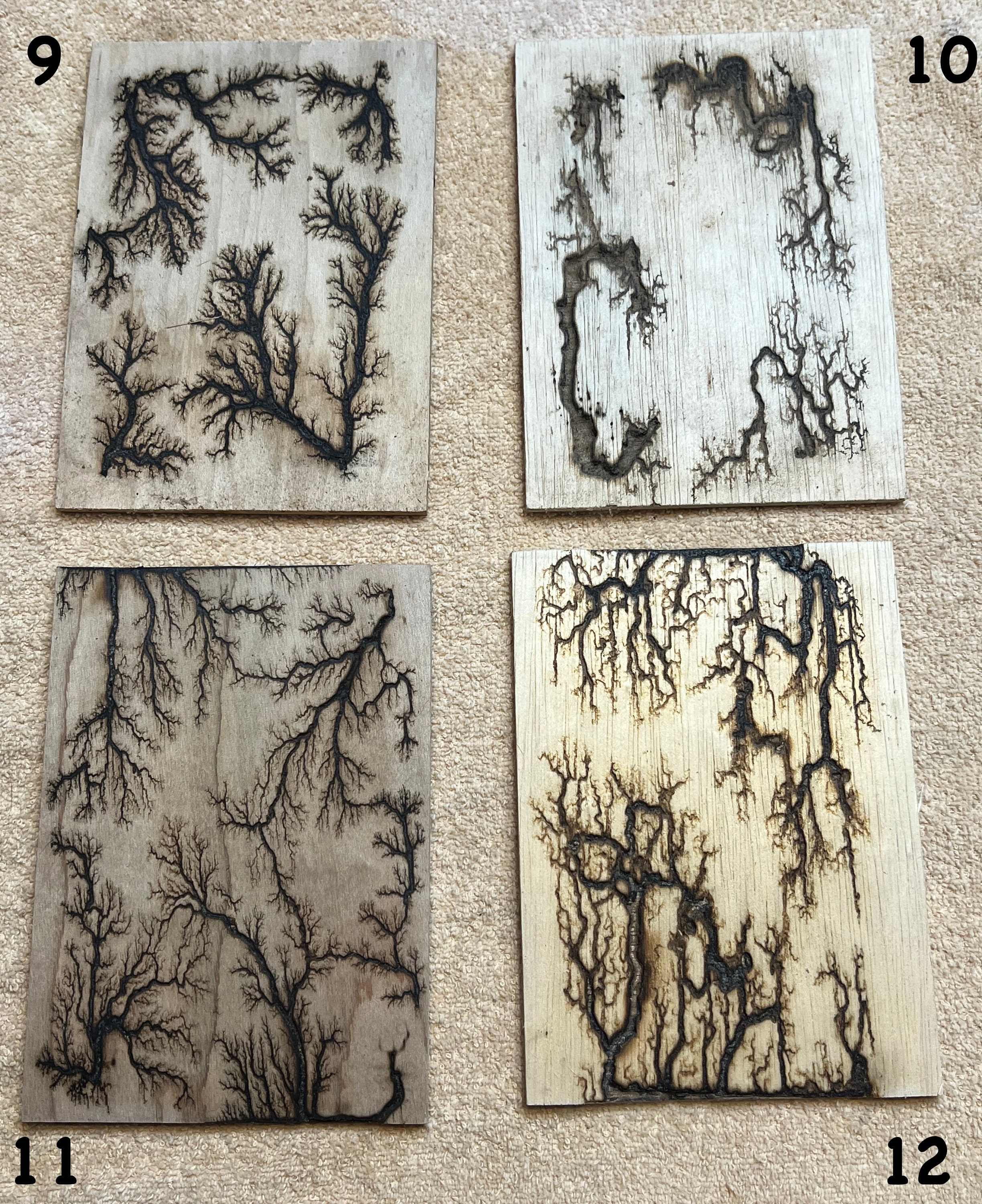 Lichtenberg Wood Burn Designs on 5x7 Inch Unfinished Wood - Etsy