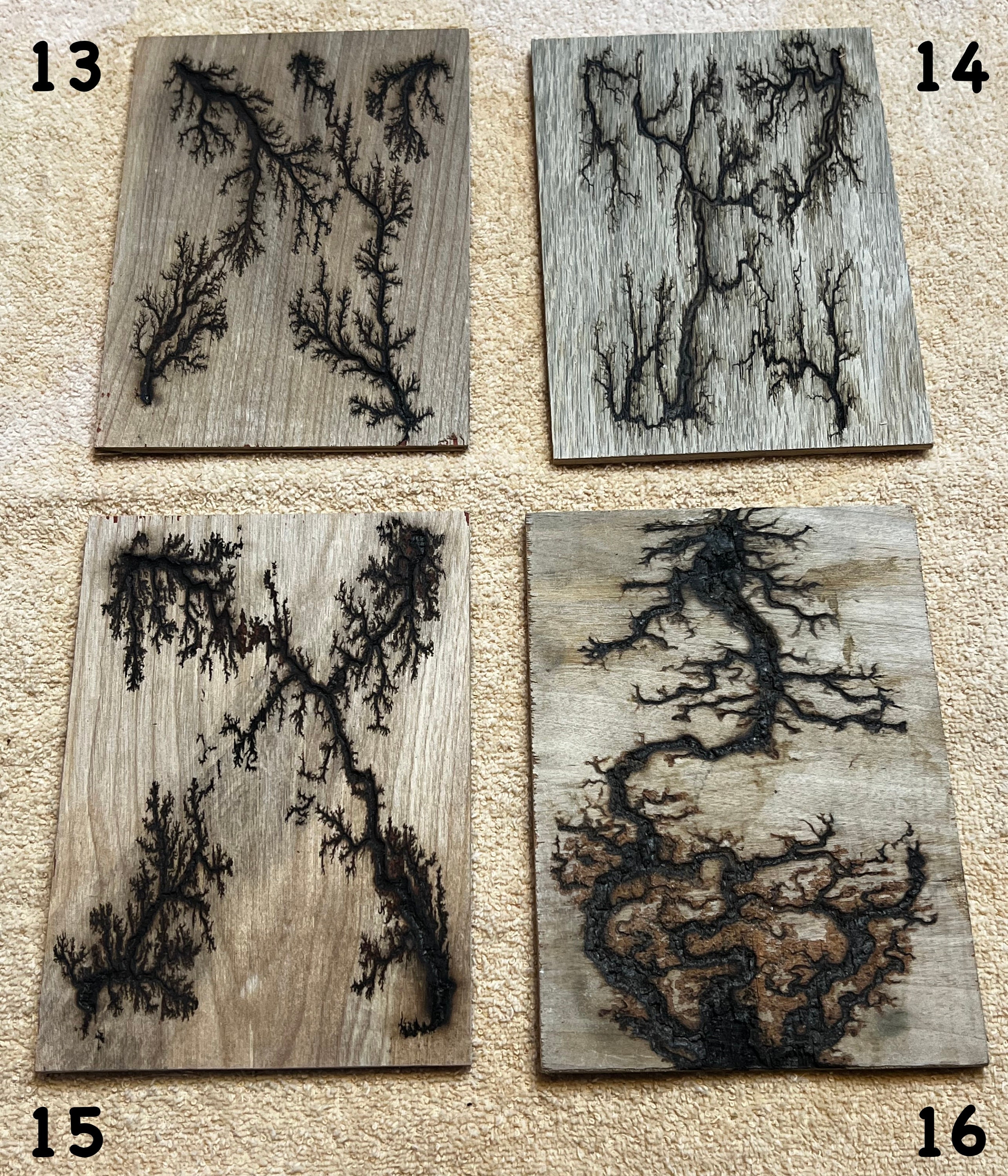 Lichtenberg Wood Burn Designs on 5x7 Inch Unfinished Wood - Etsy