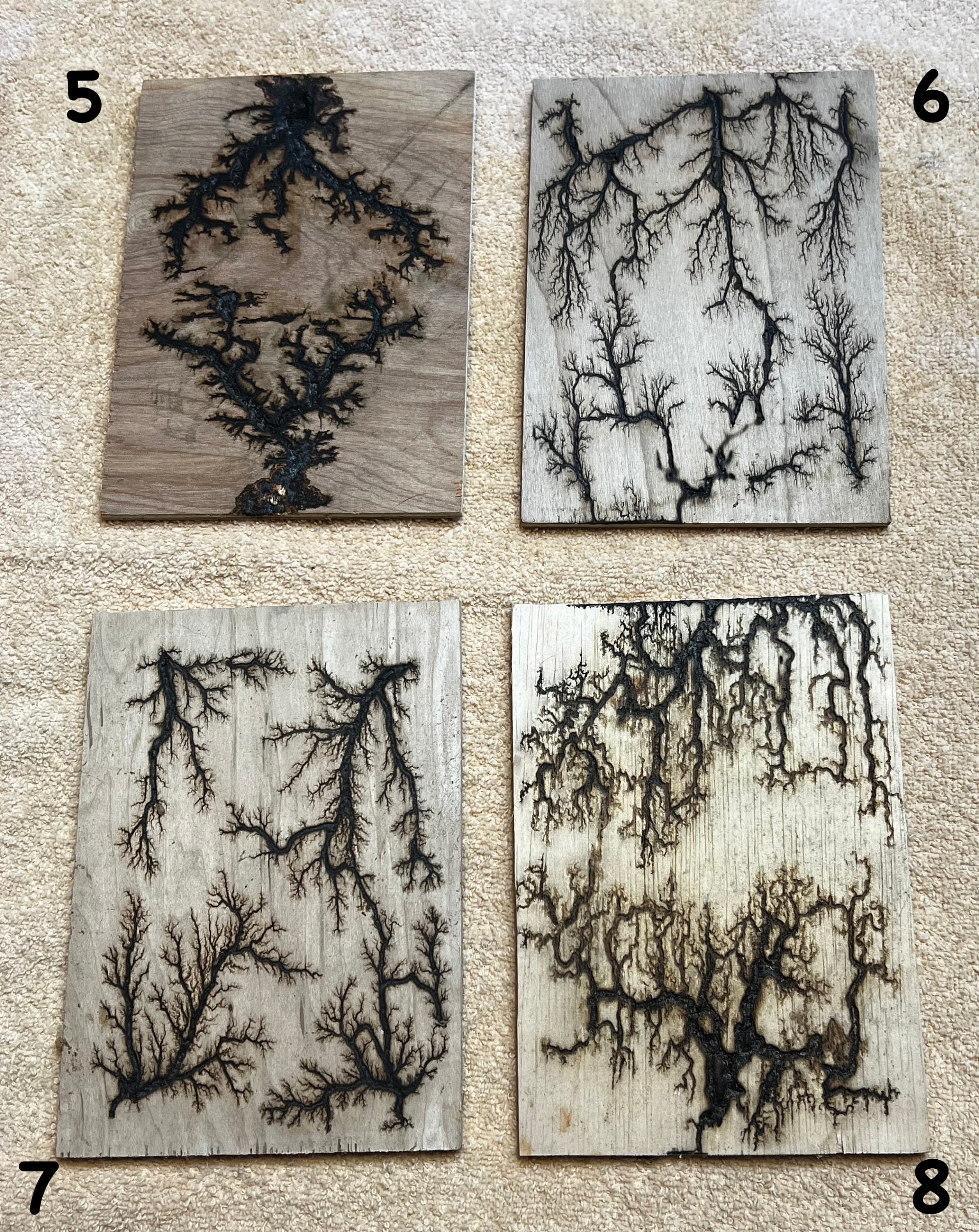 Lichtenberg Wood Burn Designs on 5x7 Inch Unfinished Wood - Etsy