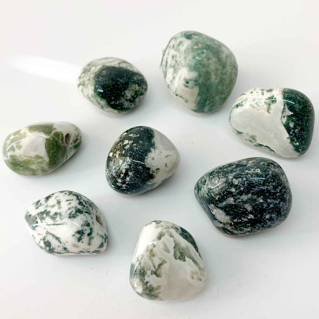 1 Pc. Tree Agate Tumbled Stones, Tree Agate Polished Stones, Tree Agate ...