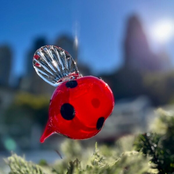 Ladybug Blown Glass - Etsy