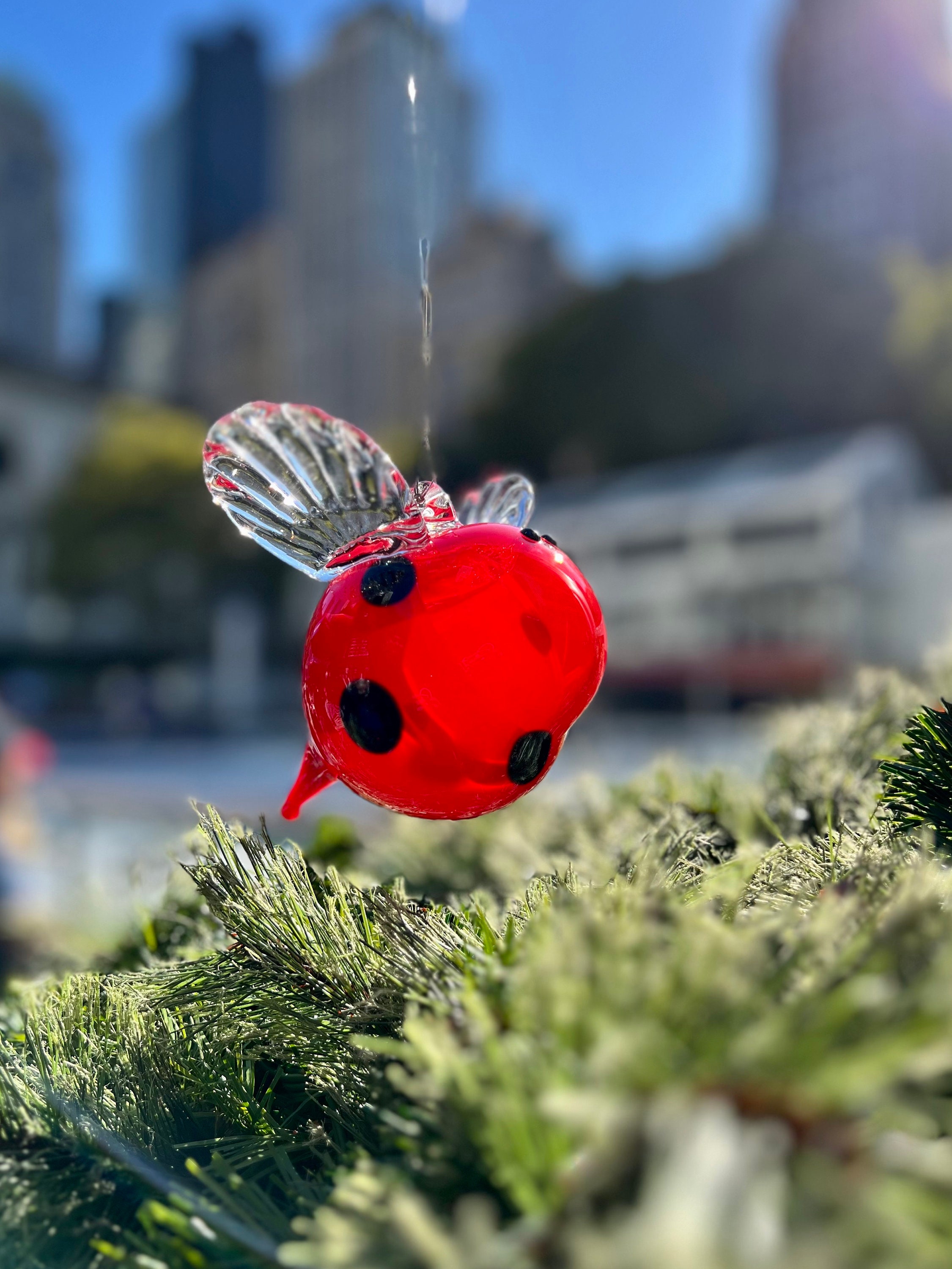 Hand Blown Glass Lady Bug - Etsy